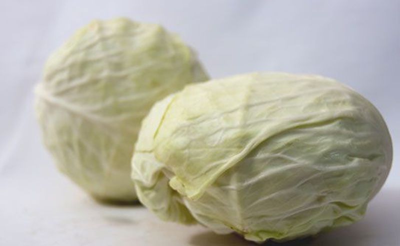 Kol Putih - Karton Isi 5