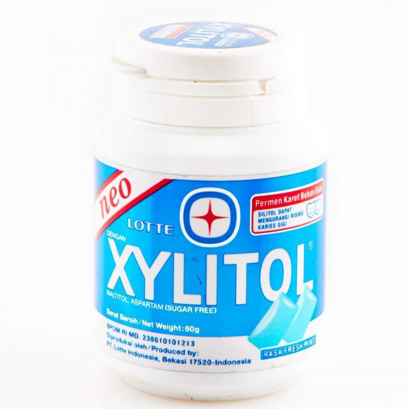 Lotte Xylitol Fresh Mint - 60 gr - Karton Isi 48