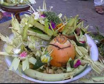 UD. YADNYA SARI - Kota Denpasar | Mbizmarket.co.id