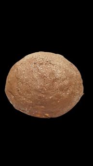 HARBIN BAKERY - Kota Surabaya | Mbizmarket.co.id