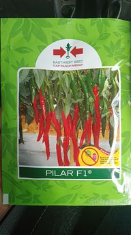 PT. SURI MAS PERKASA - Kab. Tabanan | Mbizmarket.co.id