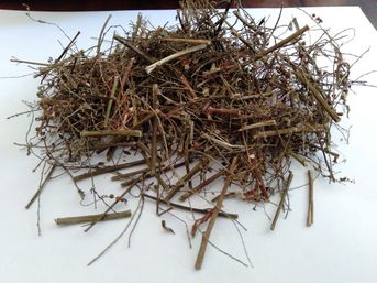 Padma Herbal - Kab. Tabanan | Mbizmarket.co.id