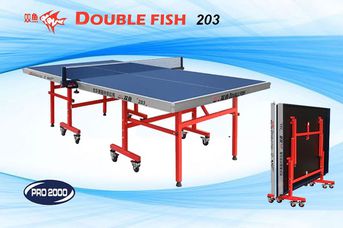 Meja Pingpong import Double Fish 203