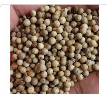 TOKO ANOVA SEMBAKO - Kab. Pemalang | Mbizmarket.co.id