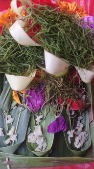 UD MESARI YADNYA - Kab. Gianyar | Mbizmarket.co.id