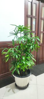 CV. FANTHA - Kota Malang | Mbizmarket.co.id