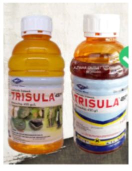 cv putra borneo - Kota Pontianak | Mbizmarket.co.id