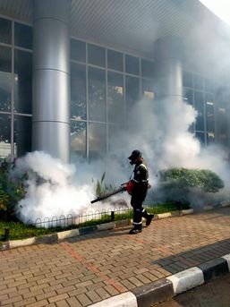 SOLUSI PEST CONTROL - Kota Bandung | Mbizmarket.co.id