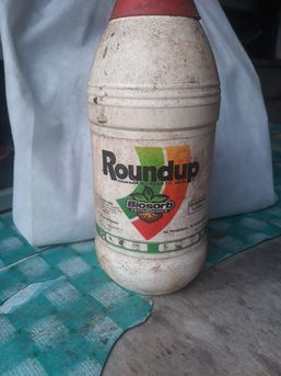 Setia Baru - Kab. Lingga | Mbizmarket.co.id