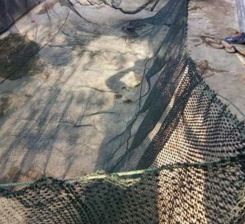 Hapa Ikan Jaring Keramba