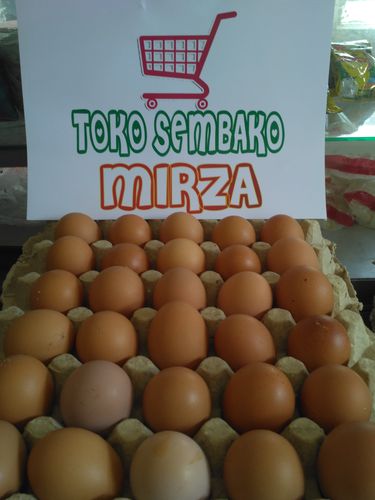 Telur Ayam Broiler