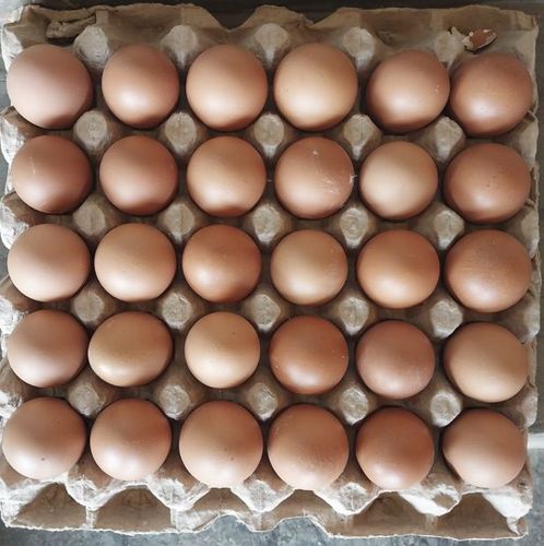 Telur Ayam Negeri - 1 Piring isi 30 butir