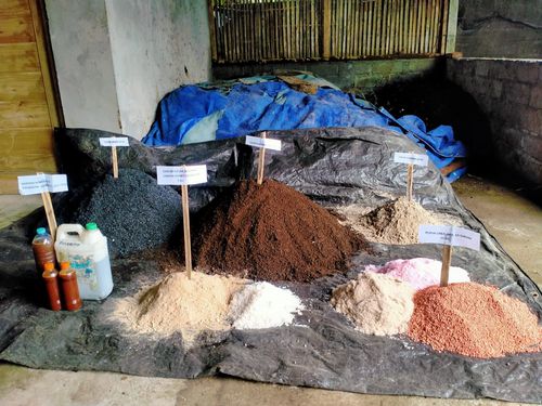 Bahan Praktek Pelatihan Tematik Pembuatan Kompos KoHe Sapi dan Pupuk ...