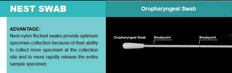 Oropharyngeal Specimen Collection Swab, Individually Wrapped, Sterile