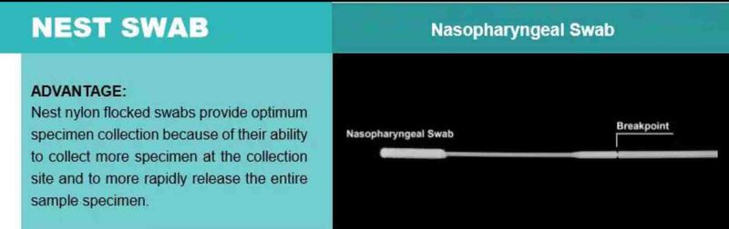 Nasopharyngeal Specimen Collection Swab,Individual Wrapped, Sterile