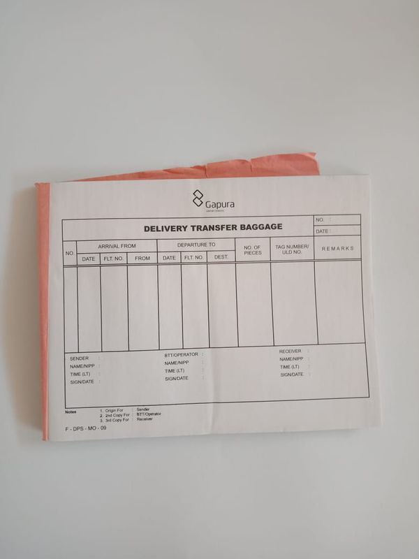 Delivery transfer baggage