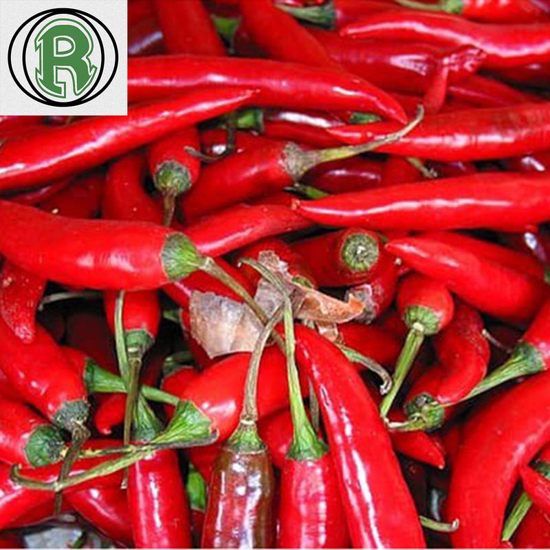 Cabe besar merah 1kg