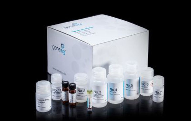 Z-genesig EASY-EK easy DNA/RNA extraction kit (Reagen PCR)