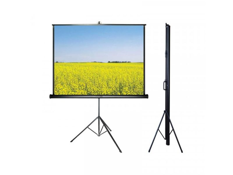 Tripod Screen 84