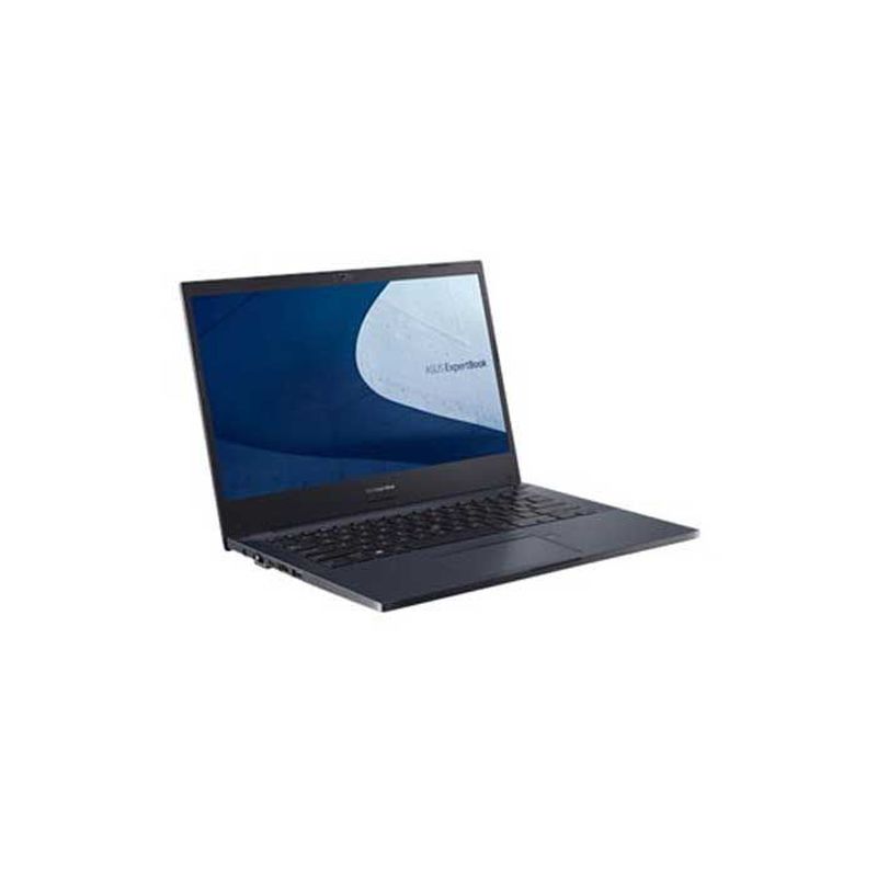 ASUS P2451FB-EK7810R (Core i7-10510/8GB/1TB/VGA 2GB/W10P/14 Inch) Notebook