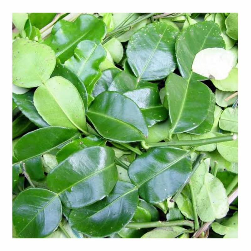 Daun Jeruk 100 gr