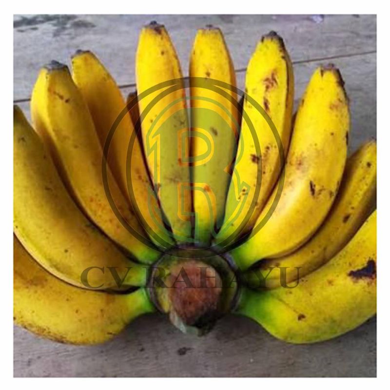Pisang Raja 1 bh