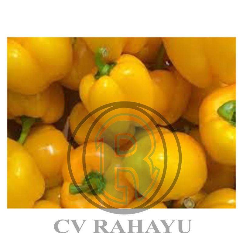 Paprika Kuning 500 gr