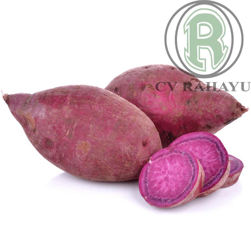 Ubi Ungu 1 kg