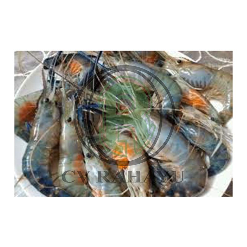 Udang (Sedang) 250 gr