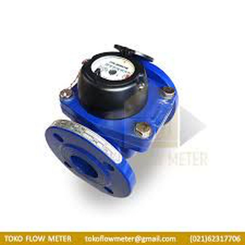 Water meter STP