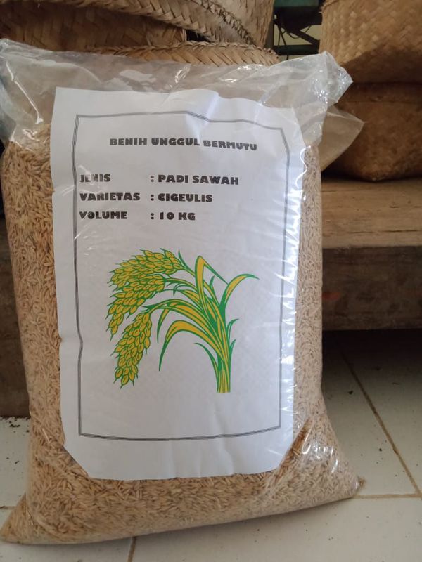 Benih Tanaman Padi Sawah Varietas Cigeulis - 25 Kg