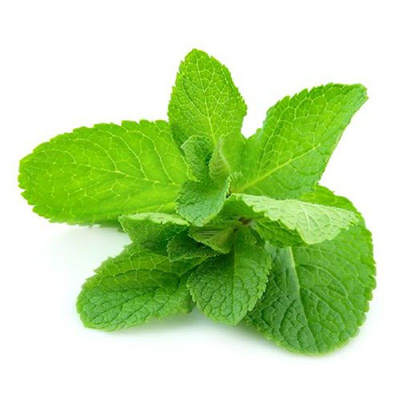 Daun Mint 250 Gram