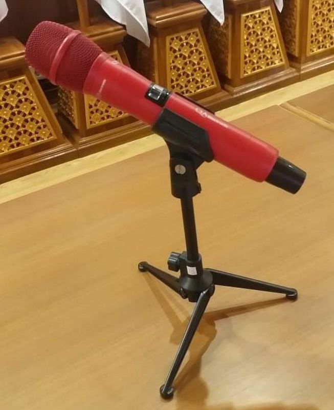 Sewa wireless microphone