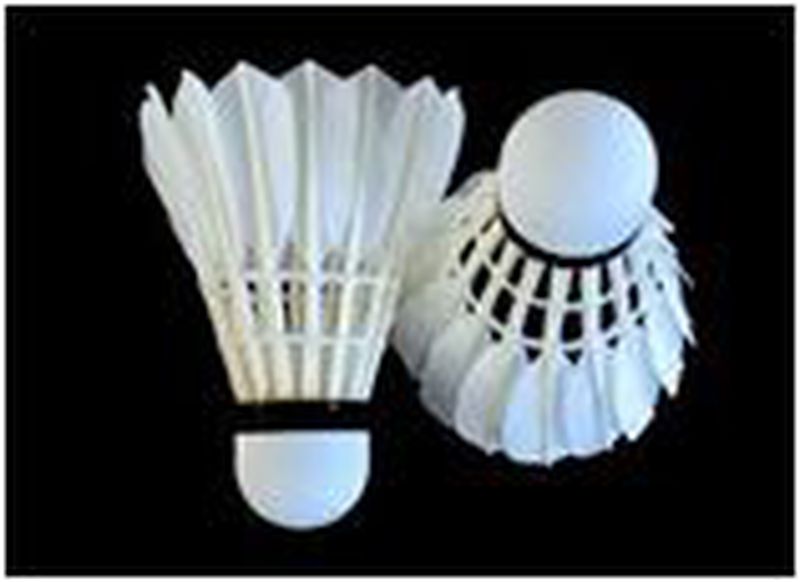 Shuttlecock Merk Suryajaya