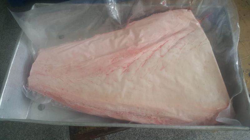 O-Toro Tuna Bluefin Frozen (fillet)