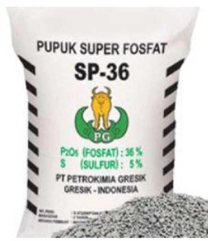 Pupuk SP-36