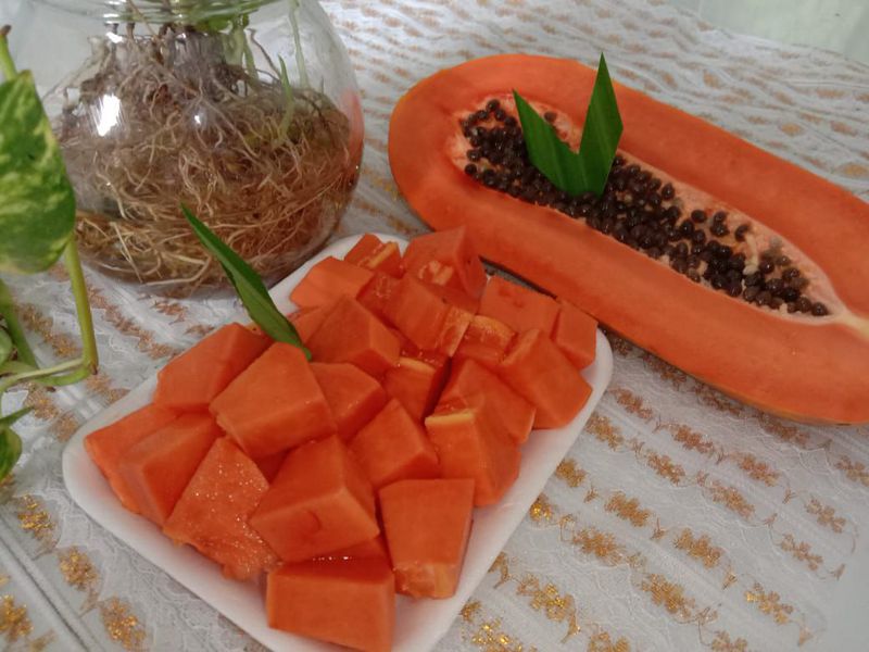 Snack Sehat \\ Buah Potong Sehat dan Segar - Paket 3