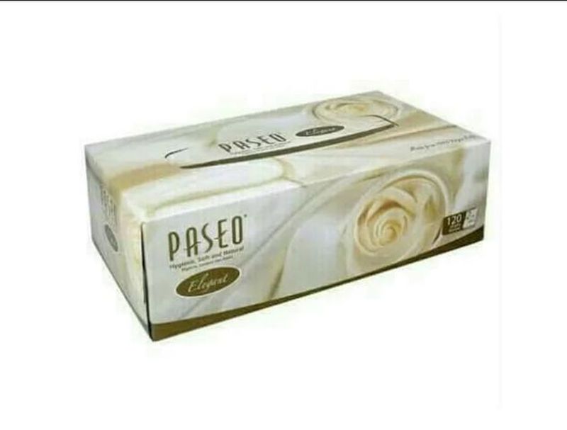 PASEO LUX BOX 120