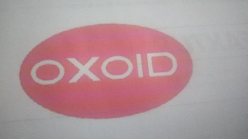 Beef Extract Powder