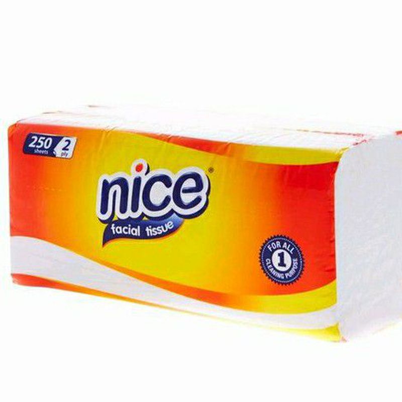 Tissue Nice - 250 sheet