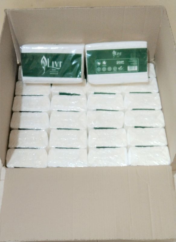 Tissue Multifold Towel Livi