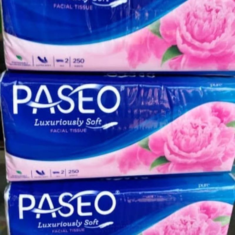 Tissue Paseo Elegant Facial Softpack Tissue [250 Sheet/2 Ply]