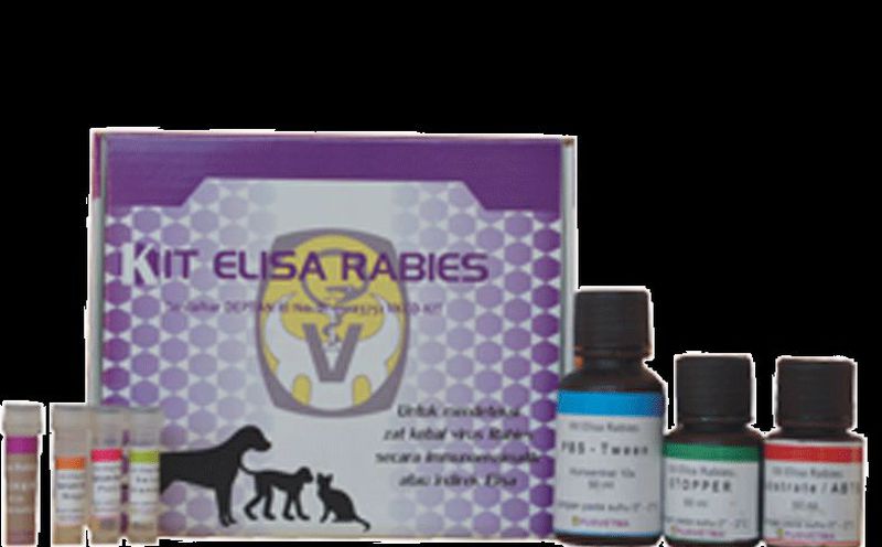 KIT ELISA RABIES