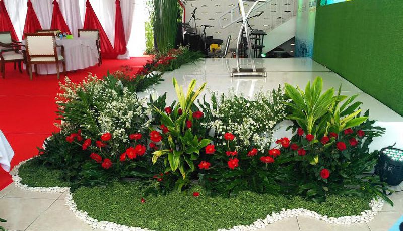 Tanaman hias/rumput, bunga