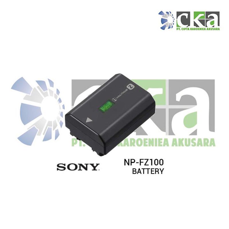 Baterai Sony NP-FZ100