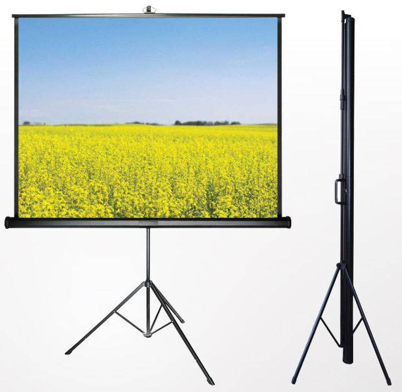 Layar Proyektor Myscreen Tripod Model Focus - Model Focus 84T