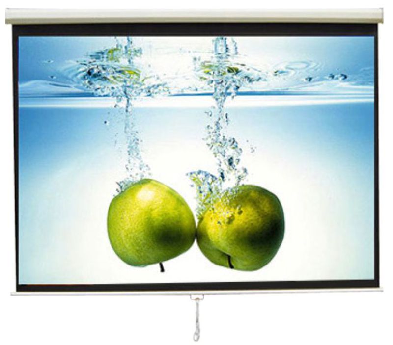 Layar Proyektor Myscreen Manual Wall Screen Model Focus - Model Focus120W