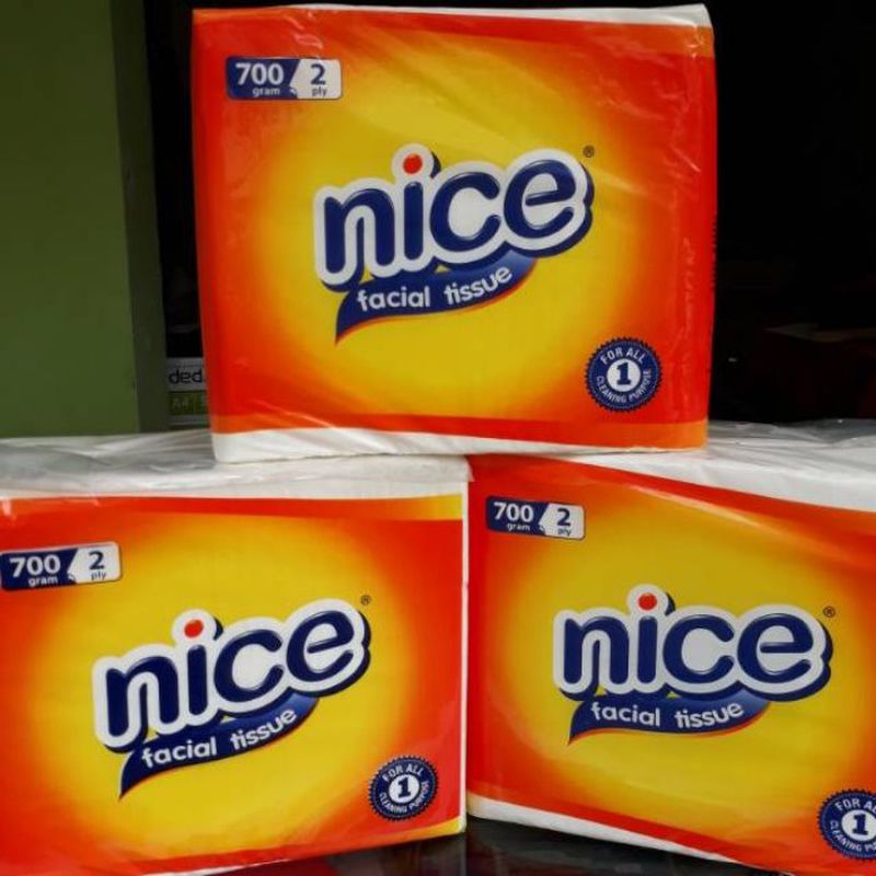 Tissue Nice Facial 700Gr