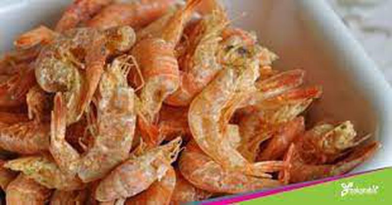 Ebi UDANG