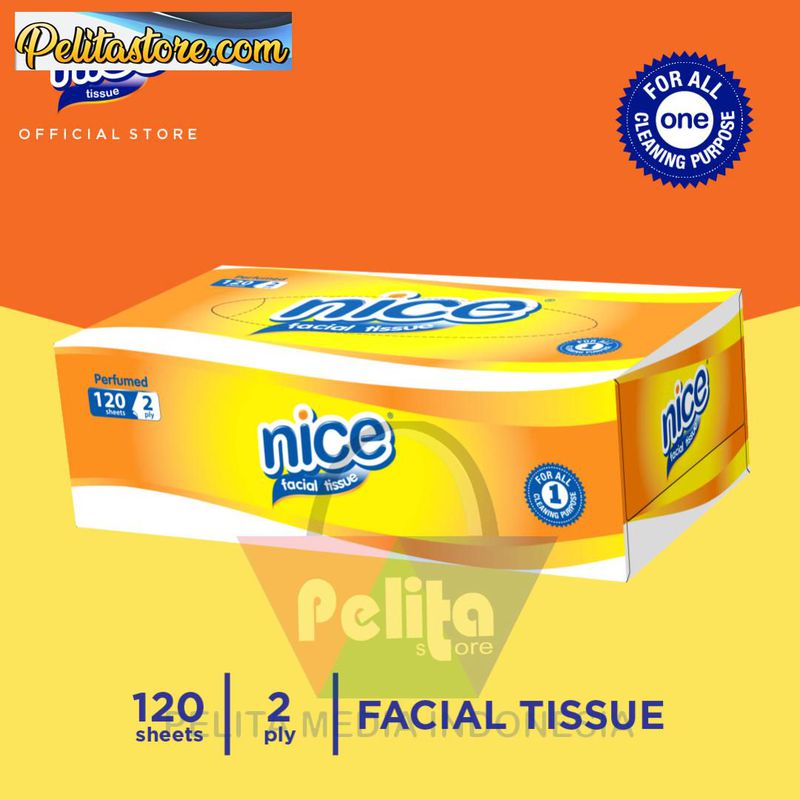 Tisu Nice Box 120's